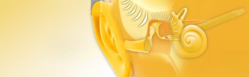 Bone Anchored Hearing Systems - The Hearing Centre - Leicester Audiologists